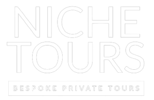 Daikoku Tour – Niche Tours | Niche Drive Tokyo